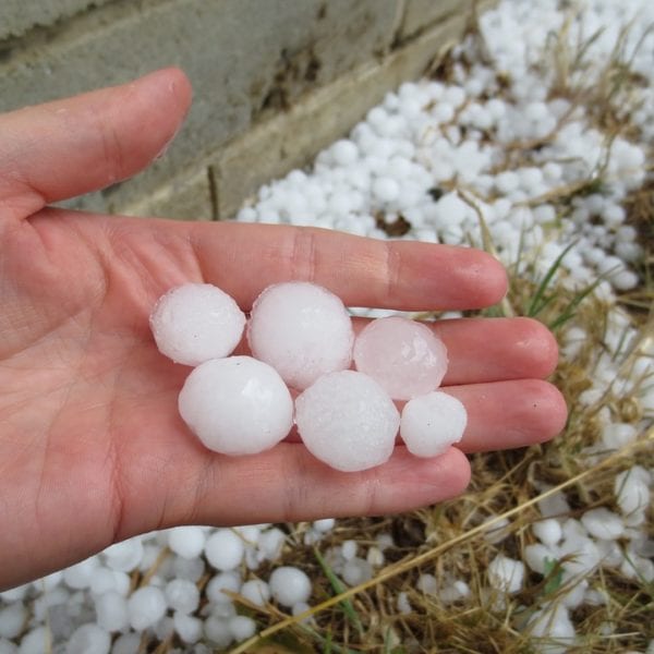 How to Identify Hail Damage | Tri-County Enterprises