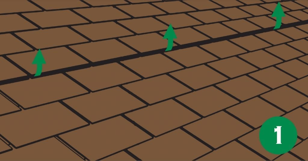 Get The Moss Off Your Roof & Keep It Off | Tri-County Enterprises